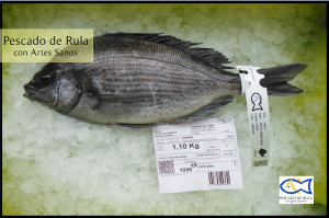 La Chopa o Negrita (en alguna ocasión mal llamada Xargu), Pescado de ...