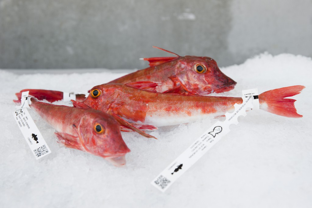 Golondro (Rubio, Escacho) con Salsa verde y arvejos (Guisantes ...